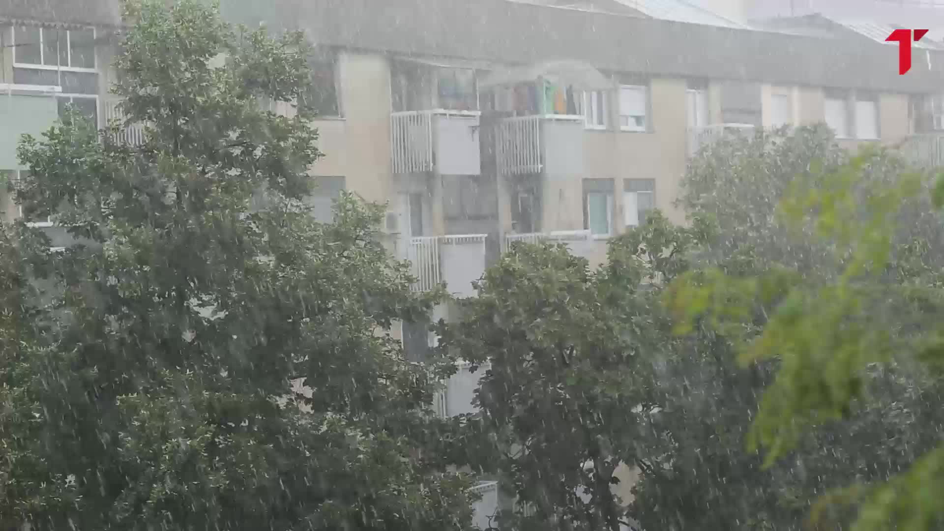 Grad tuče Beograd - Telegraf.tv