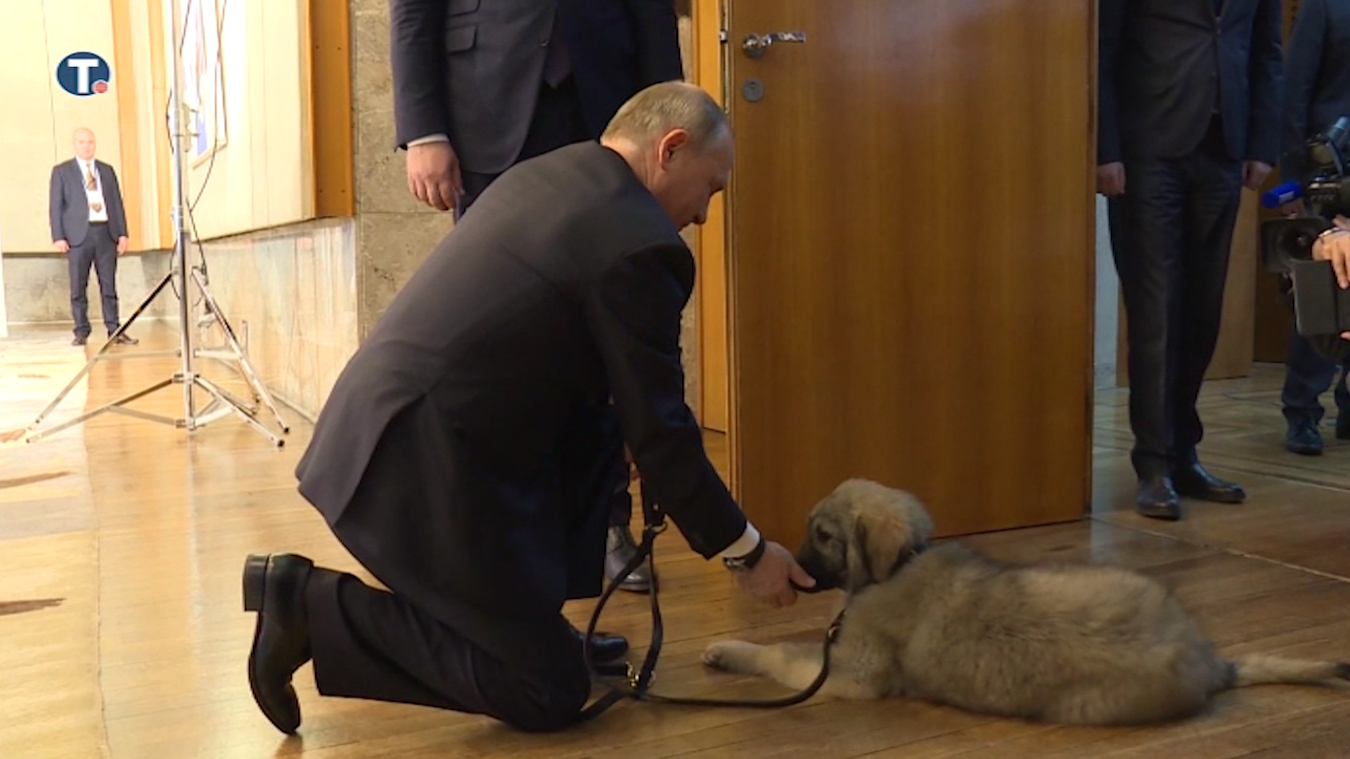 Putin se raznežio kada je od Vučića dobio štene šarplaninca: Ode Paša u ...