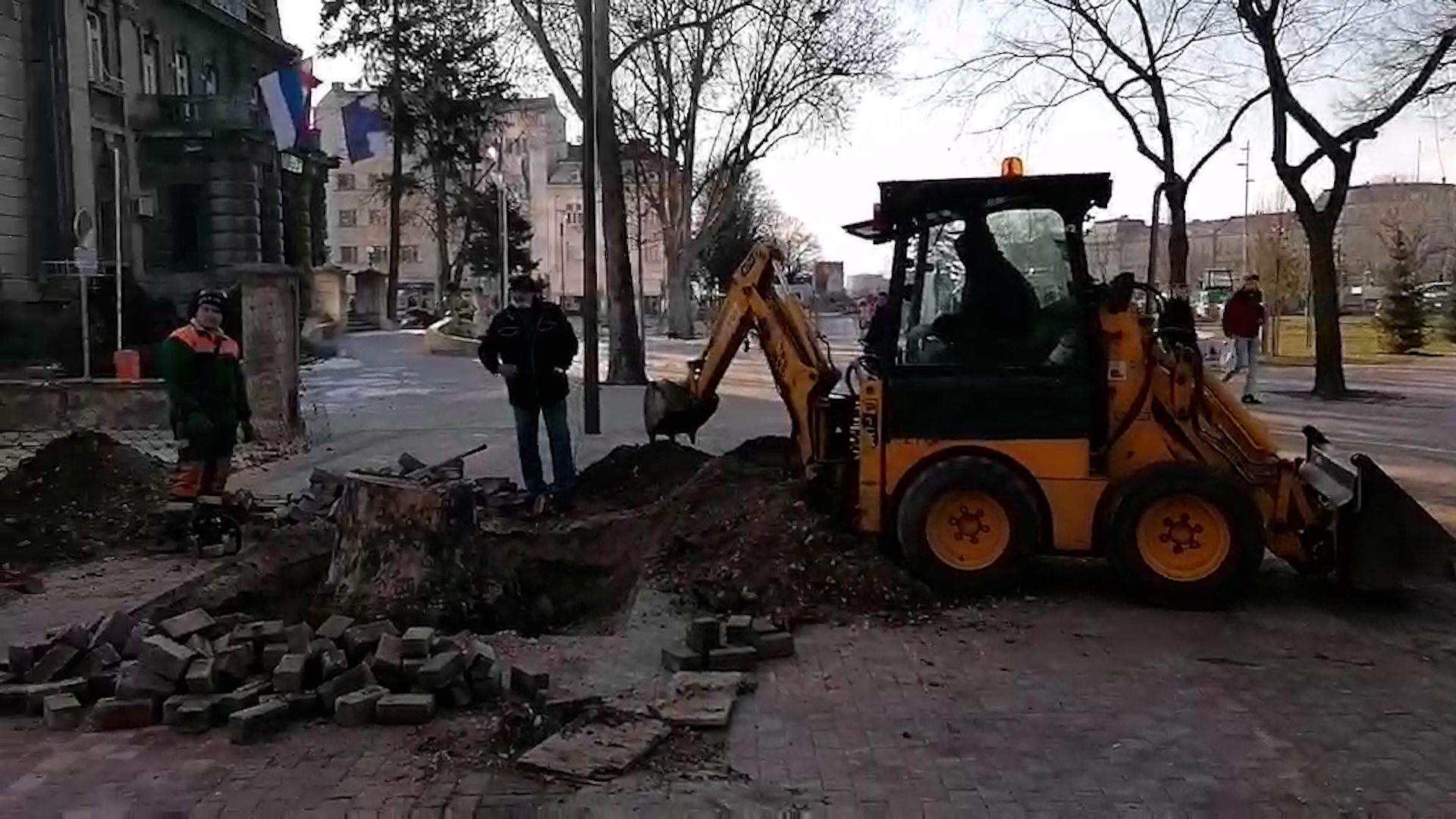 Seča stabala u centru Niša uzrujala građane: Mnogi su nezadovoljni ovom ...