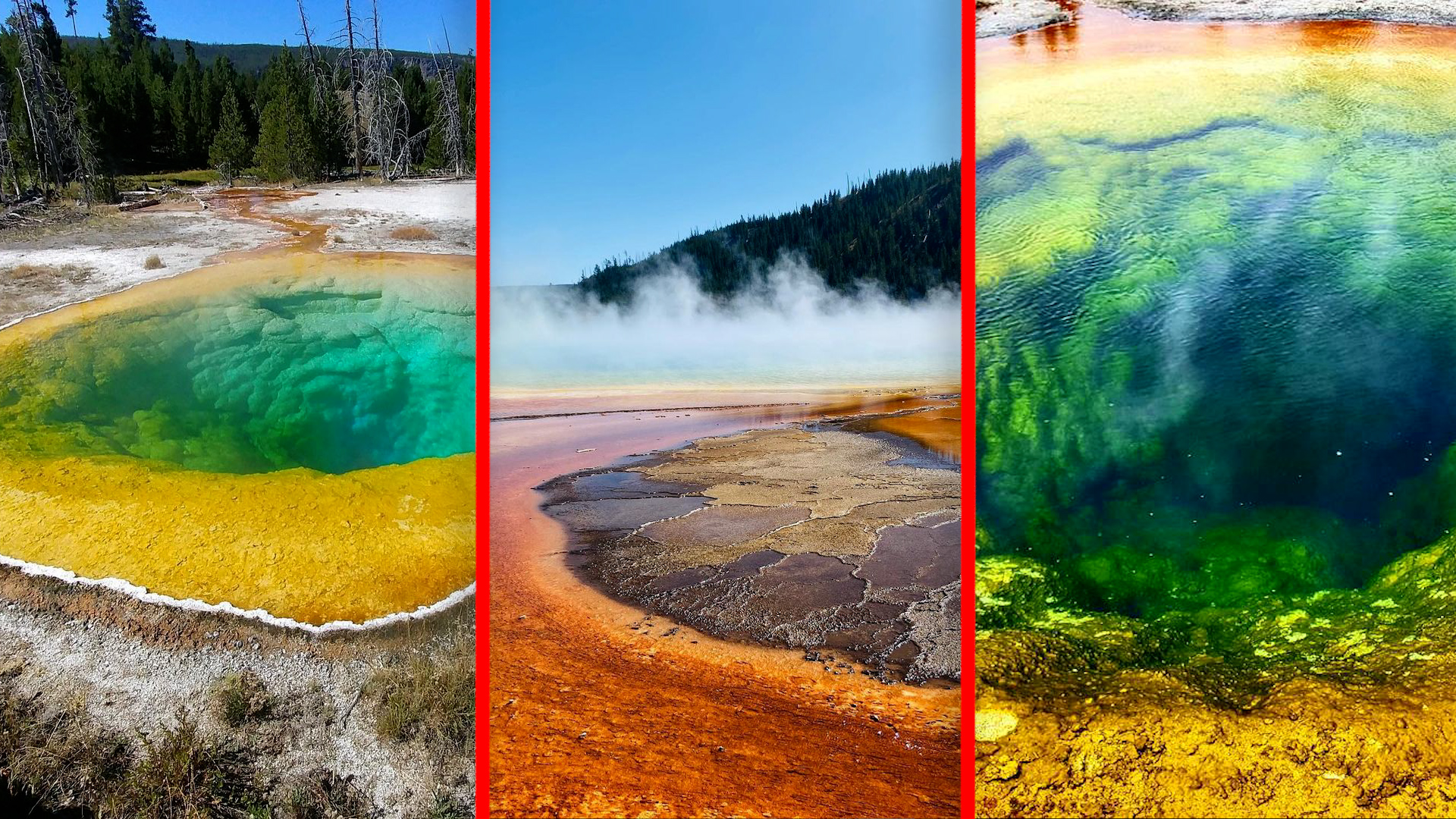 Satkan je od najlepših boja i ima skoro 80 stepeni: Prelep na oko ...