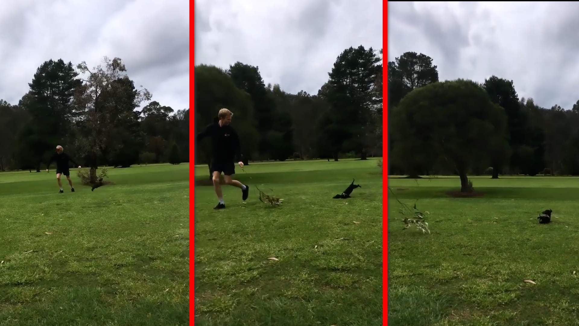 Jazavičari se ne sapliću, oni rade kolut napred: Jutarnja gimnastika ...