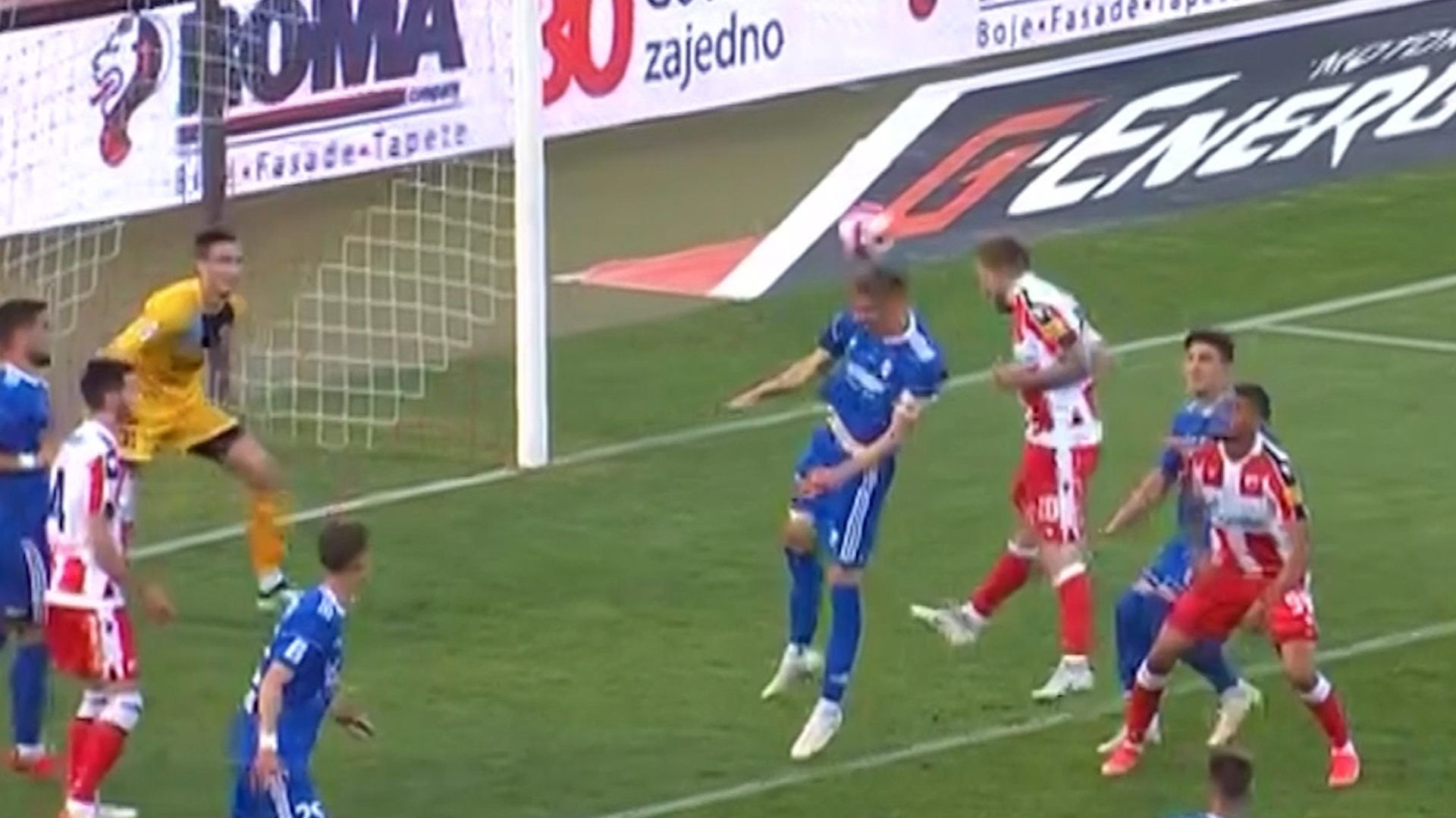 Katai dao gol, pa poljubio grb Zvezde i najavio titulu - Telegraf.tv