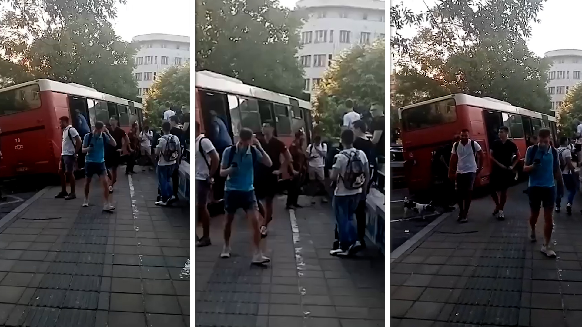 Uzrujani putnici beže iz autobusa koji se zakucao u drvo - Telegraf.tv