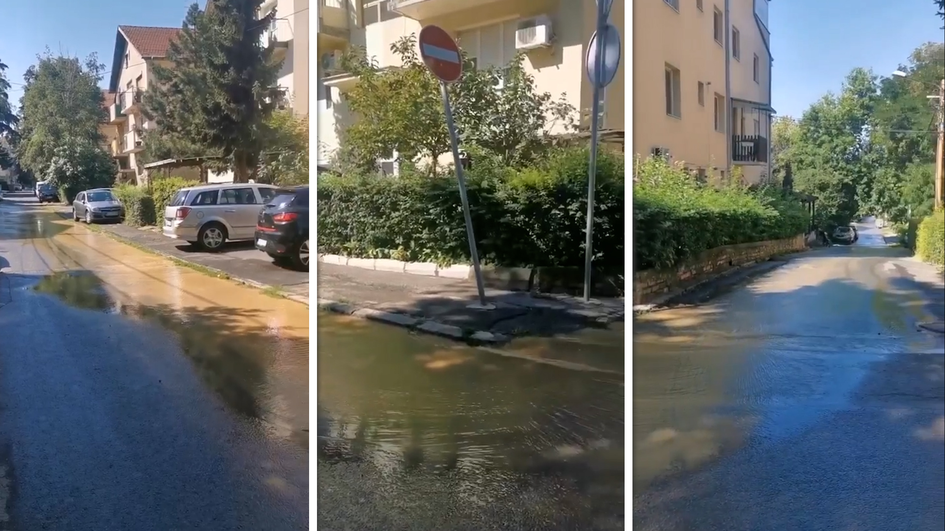 Pukla cev u Ulici Vladimira Rolovića - Telegraf.tv