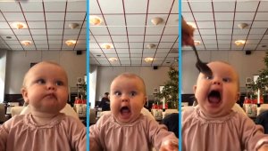 Svi misle da je ovo prva slika bebe kljunara na svetu: Fotografija ...