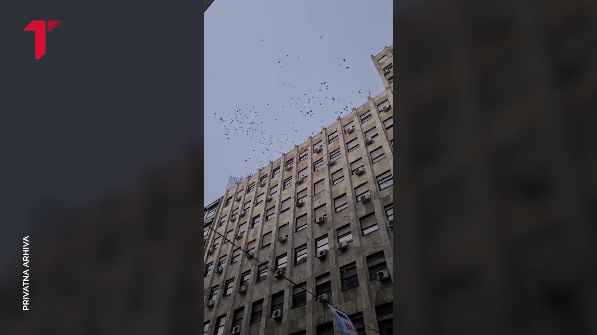 Lete pare Knez Mihailovom - Telegraf.tv