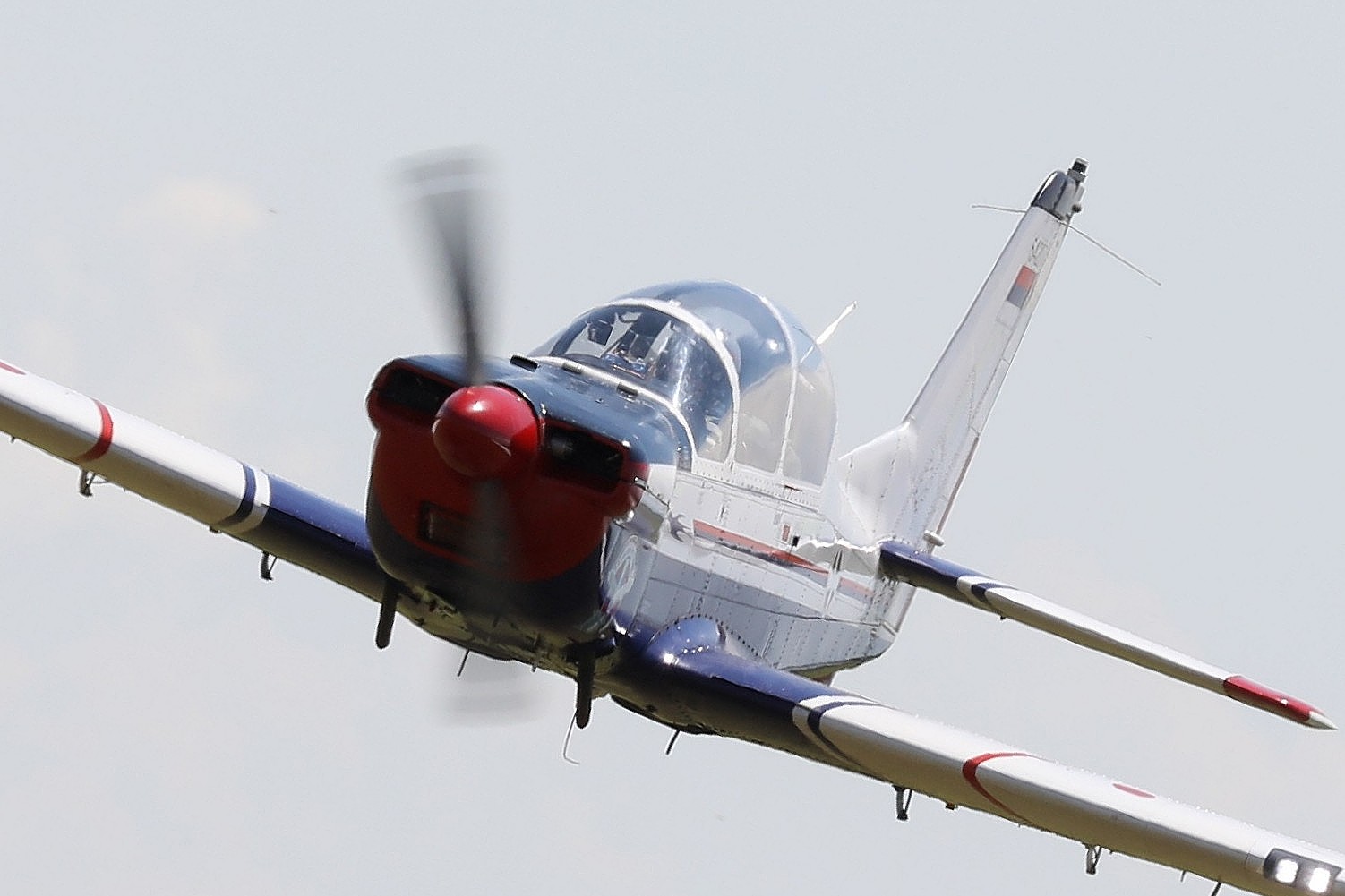 Letački dan Utva Pančevo - Telegraf.tv