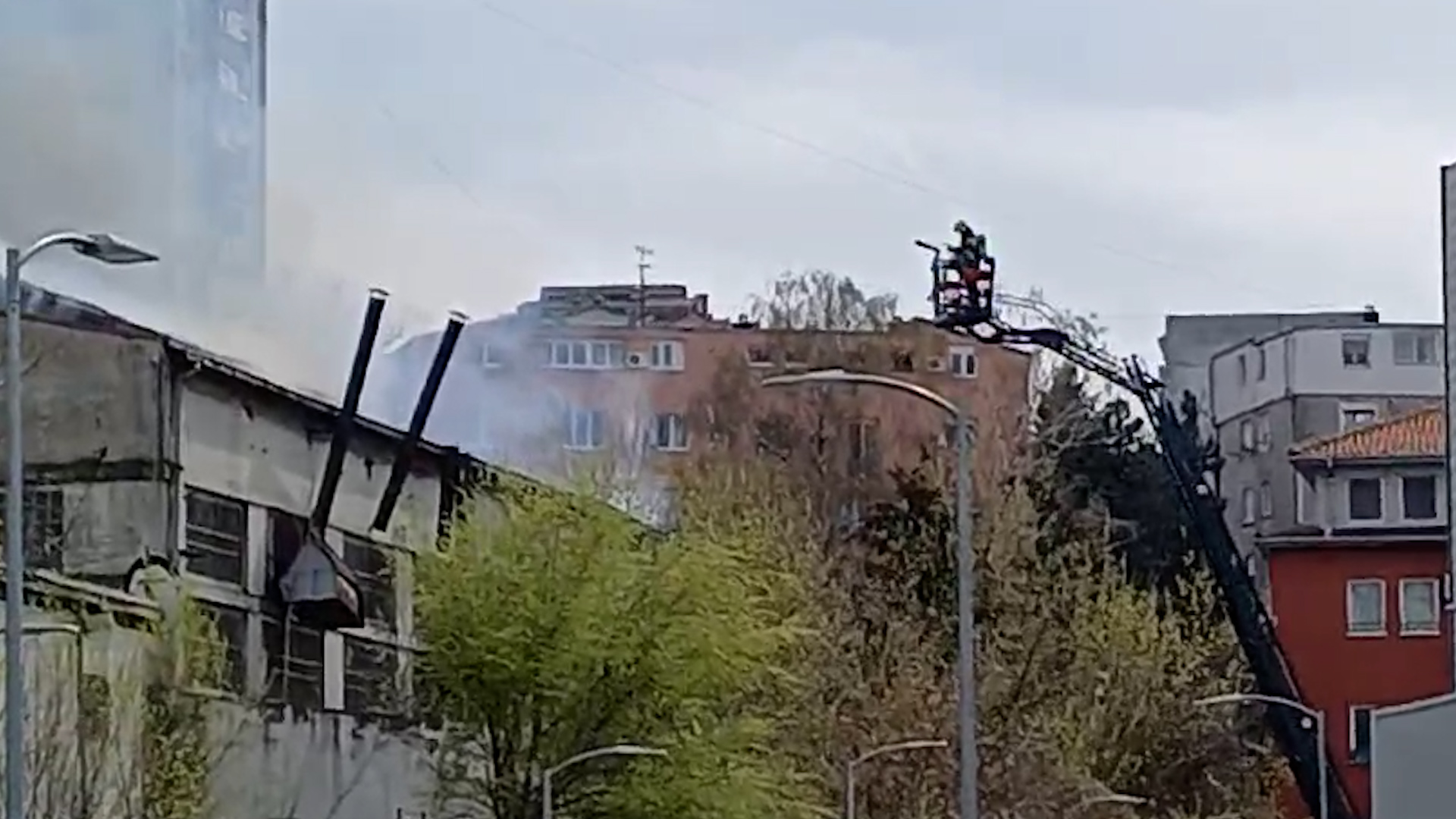 Snimak gašenja velikog požara na Zvezdari: Na terenu preko 30 vatrogasaca - Telegraf.tv