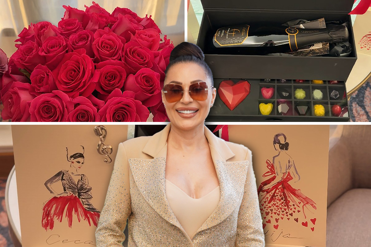 Cecu zateklo iznenađenje u hotelskoj sobi u Sofiji - Telegraf.tv