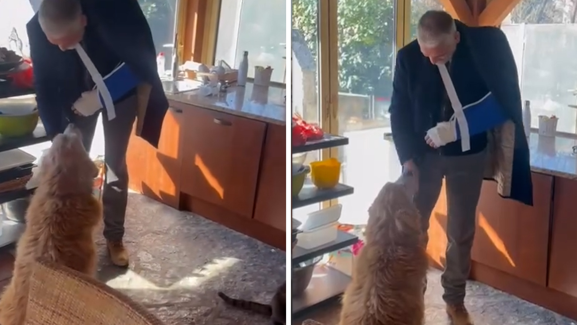 Čeda Jovanović pokazao kako uživa u hladnim danima, evo ko mu pravi ...